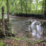 Cherokee Park Loop, Kentucky - 1,893 Reviews, Map | AllTrails