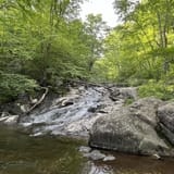 Whiteoak Canyon and Cedar Run Trail Loop, Virginia - 2,782 Reviews, Map ...