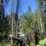 Spaulding Lake Trail, California - 1,429 Reviews, Map | AllTrails