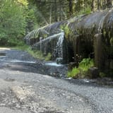 Toketee Falls, Oregon - 2,152 Reviews, Map | AllTrails