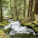 Silver Falls Loop, Washington - 2,921 Reviews, Map | AllTrails