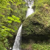 Latourell Falls Loop, Oregon - 6,706 Reviews, Map | AllTrails