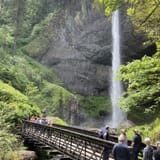 Latourell Falls Loop, Oregon - 6,706 Reviews, Map | AllTrails
