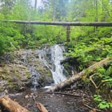 Mima Falls East Trail, Washington - 1,920 Reviews, Map | AllTrails