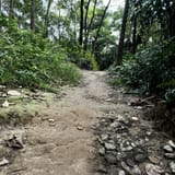 Bukit Serdang Trail, Selangor, Malaysia - 339 Reviews, Map | AllTrails
