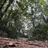 Bukit Serdang Trail, Selangor, Malaysia - 339 Reviews, Map | AllTrails