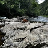 Laurel River Trail, North Carolina - 1,623 Reviews, Map | AllTrails