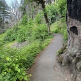 Multnomah Falls Trail, Oregon - 7,187 Reviews, Map | AllTrails