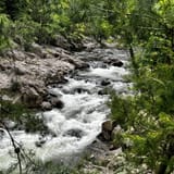 Laurel River Trail, North Carolina - 1,623 Reviews, Map | AllTrails