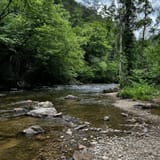 Laurel River Trail, North Carolina - 1,623 Reviews, Map | AllTrails
