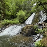 Alsea Falls and Green Peak Falls, Oregon - 1,202 Reviews, Map | AllTrails
