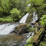 Alsea Falls and Green Peak Falls, Oregon - 1,202 Reviews, Map | AllTrails