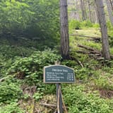 Oneonta Trail, Oregon - 724 Reviews, Map | AllTrails