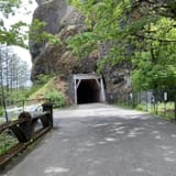 Oneonta Trail, Oregon - 724 Reviews, Map | AllTrails