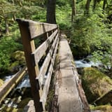 Oneonta Gorge Trail, Oregon - 733 Reviews, Map | AllTrails