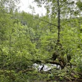 Tradition Lake Loop Trail, Washington - 1,643 Reviews, Map | AllTrails
