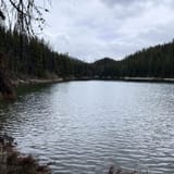 Moose Lake Loop, Alberta, Canada - 475 Reviews, Map | AllTrails