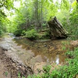 Dog Slaughter Falls Trail, Kentucky - 1,634 Reviews, Map | AllTrails