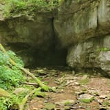 Cave River Valley Trail, Indiana - 204 Reviews, Map | AllTrails