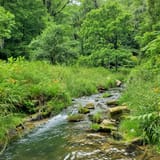 Cave River Valley Trail, Indiana - 206 Reviews, Map | AllTrails