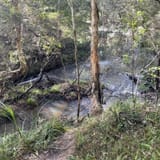 Trachyte Circuit, Queensland, Australia - 280 Reviews, Map | AllTrails