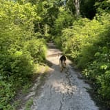 Alberton Road Trail, Maryland - 1,405 Reviews, Map | AllTrails