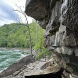 Whirlpool Trail, Ontario, Canada - 670 Reviews, Map | AllTrails