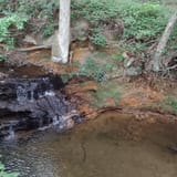 Webb Bridge Park Trail, Georgia - 768 Reviews, Map | AllTrails