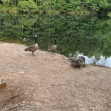 Webb Bridge Park Trail, Georgia - 768 Reviews, Map | AllTrails