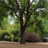 Webb Bridge Park Trail, Georgia - 768 Reviews, Map | AllTrails