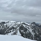 Grotto Mountain Trail, Alberta, Canada - 1,225 Reviews, Map | AllTrails