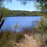 Poona Lake, Queensland, Australia - 73 Reviews, Map | AllTrails