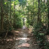 Poona Lake, Queensland, Australia - 73 Reviews, Map | AllTrails