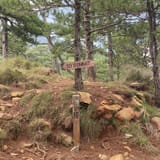 Mount Tapulao, Zambales, Philippines - 10 Reviews, Map | AllTrails