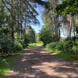 Harlestone Firs and Heath, Northamptonshire, England - 95 Reviews, Map ...