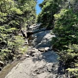 Mount Jackson and Mount Webster Trail Loop, New Hampshire - 2,199 ...
