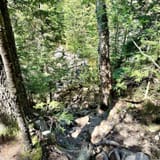 Mount Jackson and Mount Webster Trail Loop, New Hampshire - 2,228 ...