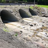 Sprague Brook Park Trail, New York - 1,368 Reviews, Map | AllTrails