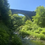 Beamish Park and Causey Arch Circular, County Durham, England - 461 ...