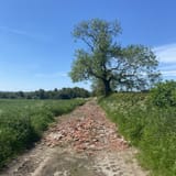 Beamish Park and Causey Arch Circular, County Durham, England - 461 ...