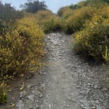 Getty View Trail, California - 907 Reviews, Map | AllTrails