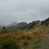 Getty View Trail, California - 907 Reviews, Map | AllTrails