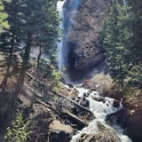 Treasure Falls Trail, Colorado - 1,359 Reviews, Map | AllTrails