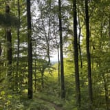 Big Spring Hollow Falls Trail, Ohio - 287 Reviews, Map | AllTrails