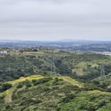 Whiting Ranch Trail, California - 1,841 Reviews, Map | AllTrails