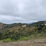 Whiting Ranch Trail, California - 1,841 Reviews, Map | AllTrails