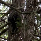 Jordan Valley Pathway, Michigan - 795 Reviews, Map | AllTrails