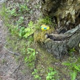 Jordan Valley Pathway, Michigan - 795 Reviews, Map | AllTrails