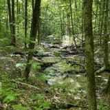 Jordan Valley Pathway, Michigan - 795 Reviews, Map | AllTrails