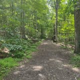 Hemlock Falls Trail via Lenape, Rahway, and River Trail, New Jersey ...